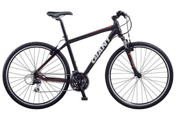 Giant Hybrid Bike | Hybrid Bike rentals Pisa | Hire a Hybrid bike in ...